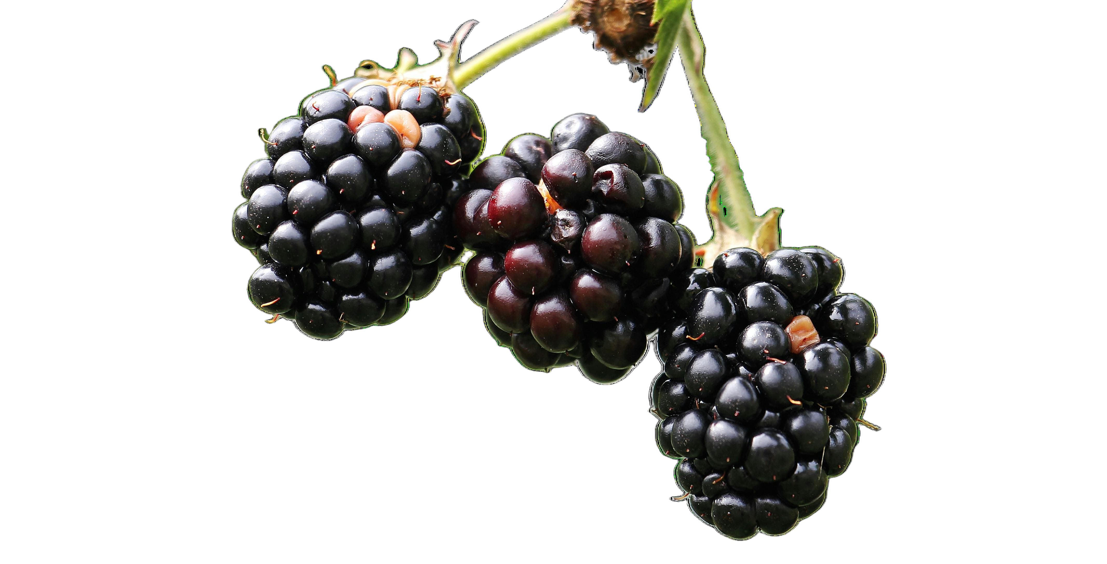 PicTech AI - Image Translation for E-commerce & More